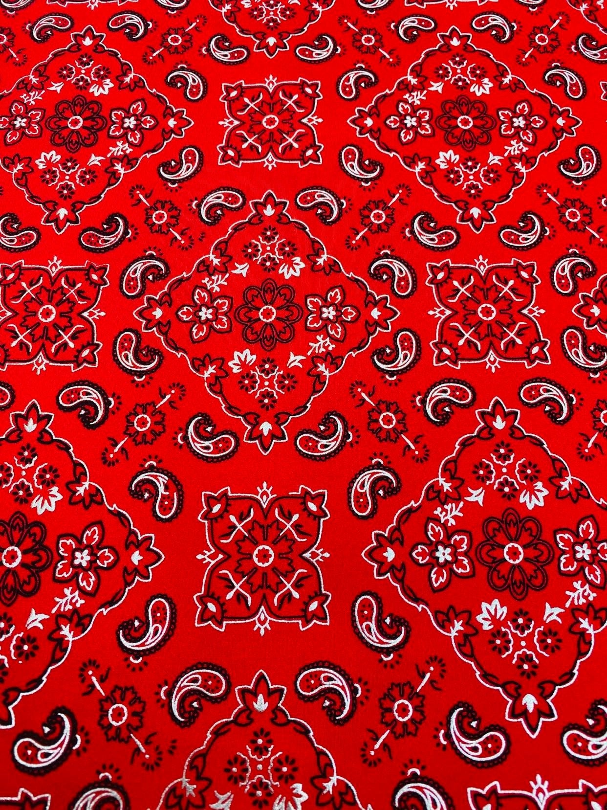 Red Bandana Pattern